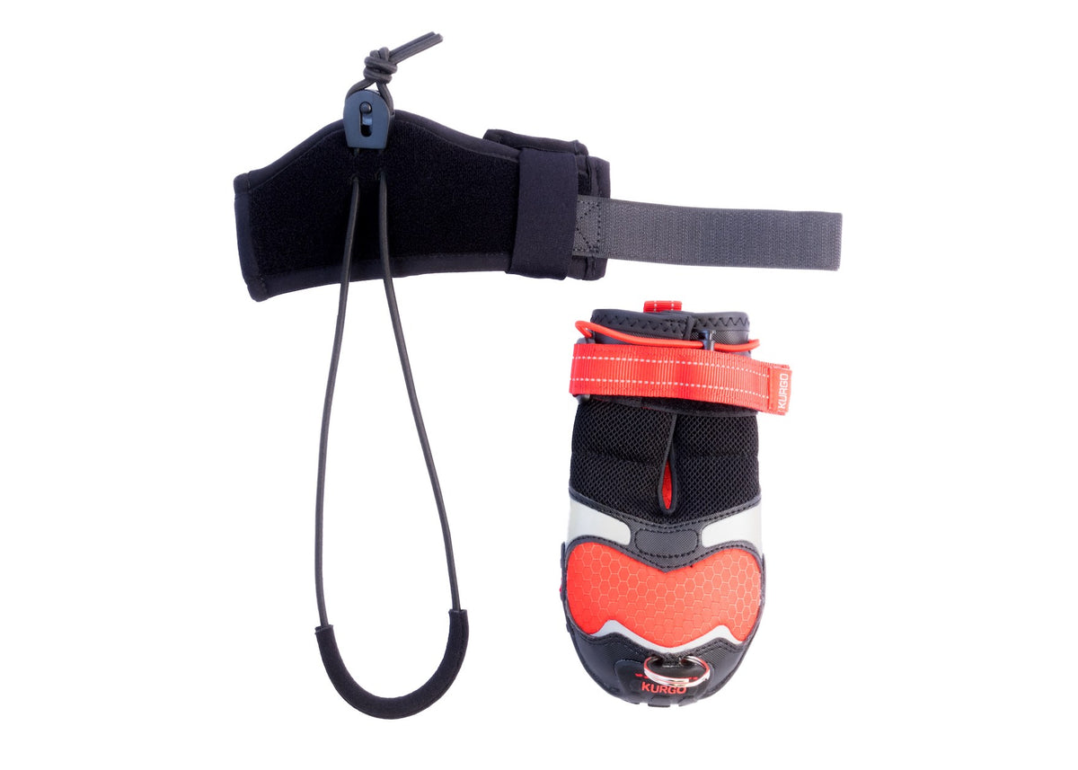 OrthoPets Toe-Up Device With Boot | Dassiet Vet